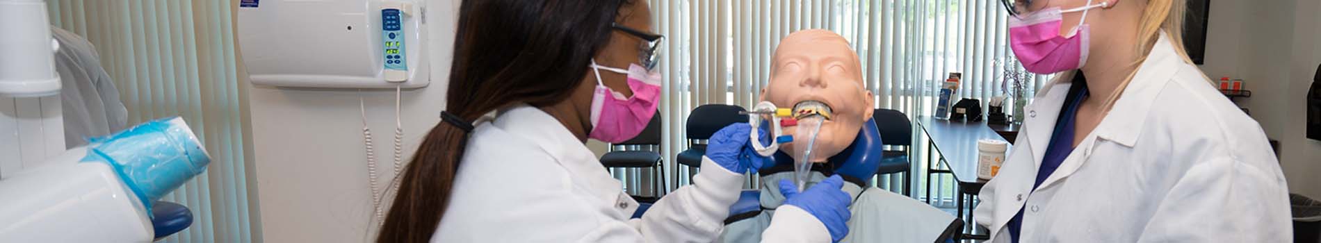 Dental Assistant Training Program | Delta Technical College